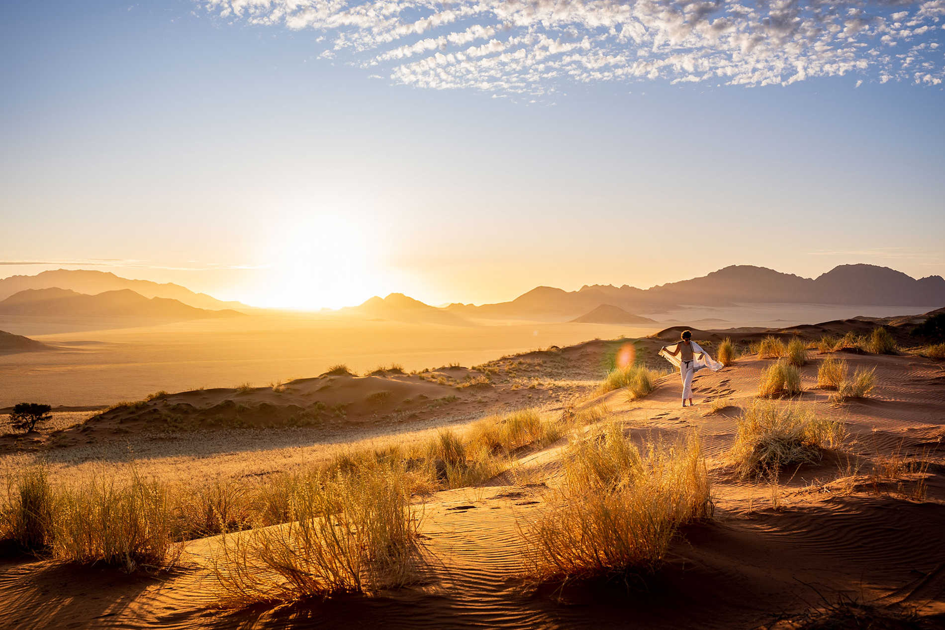 Namibia - Cobra Verde